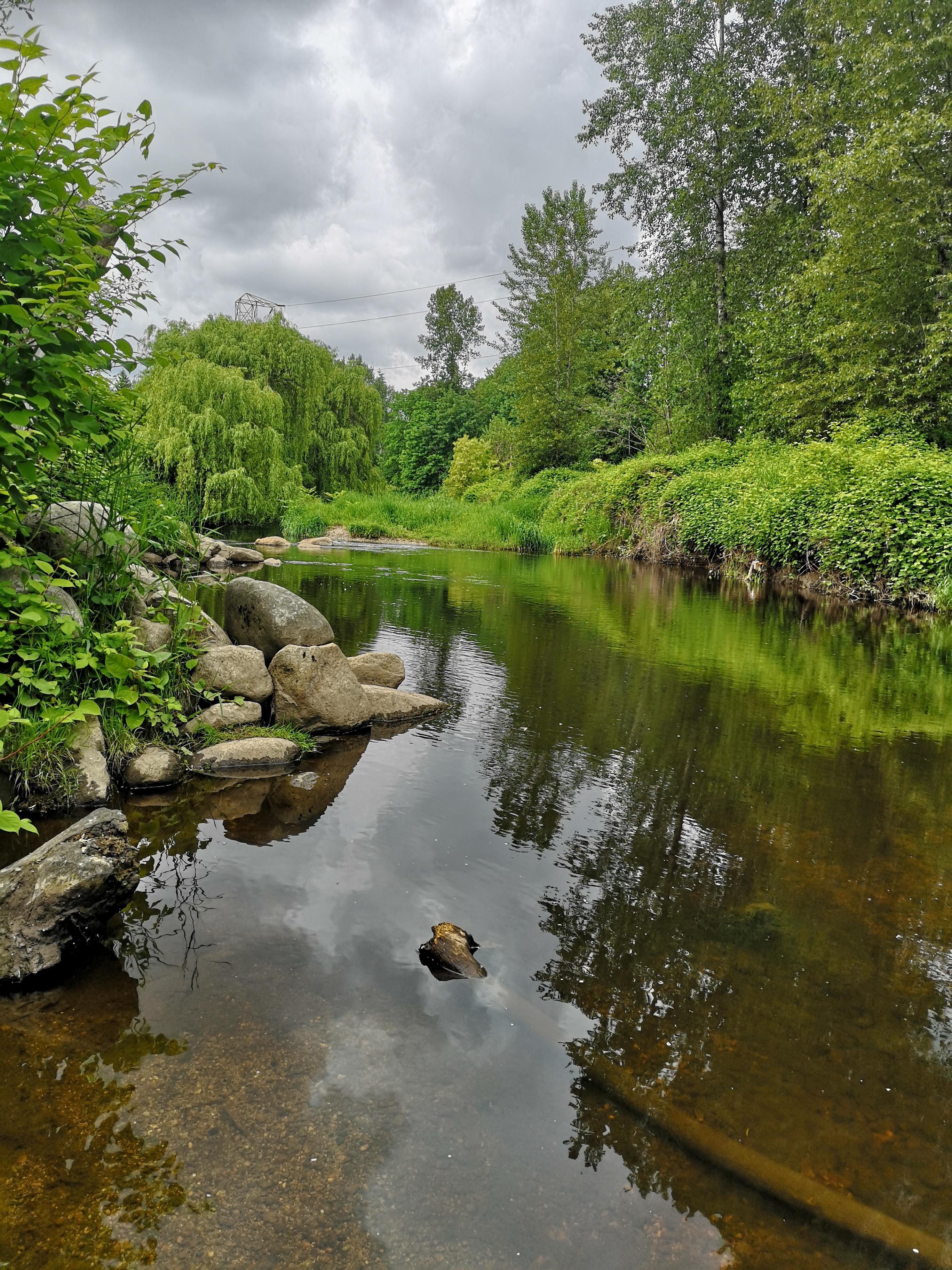 The Brunette River: Still Creek 2.0 – I SUP Explore
